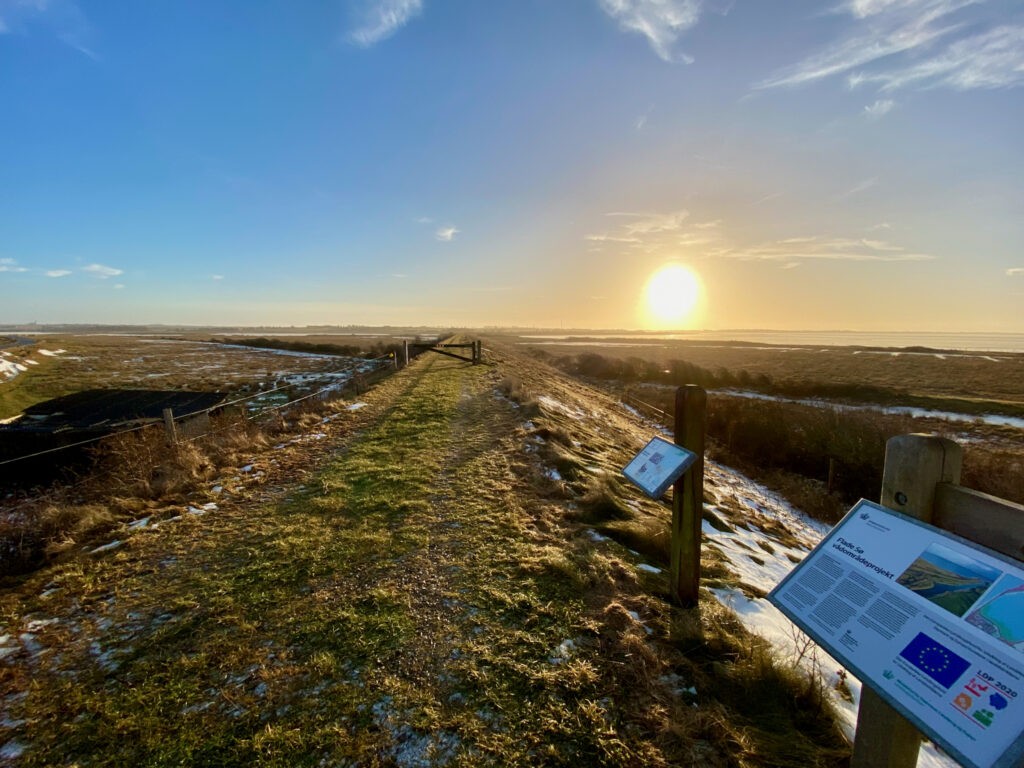 Flade Sø-ruten • Vandreture i Thy • opdagTHY